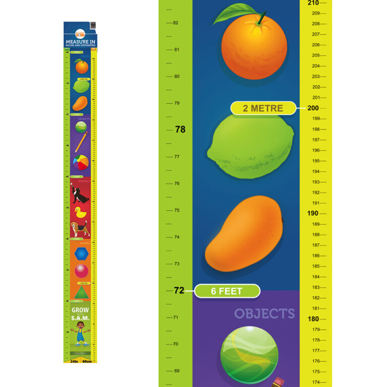 Chart: Height – Econo Office & School Supplies Ltd